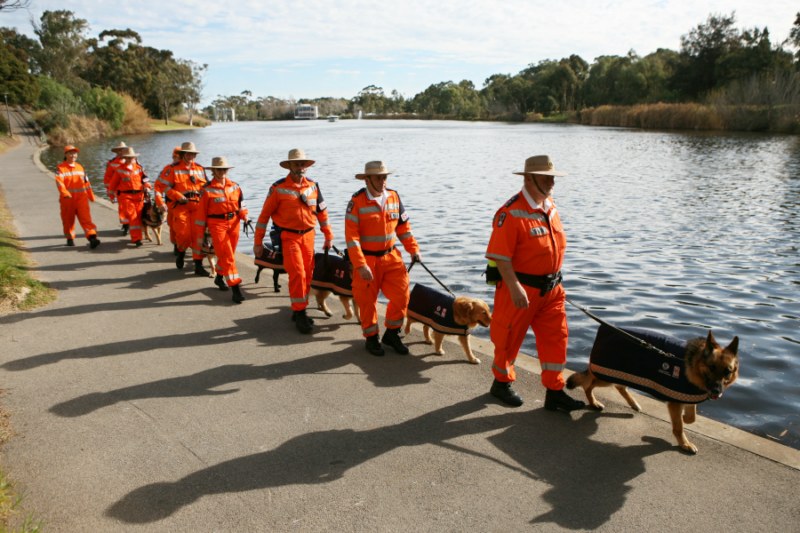 SA SES Volunteers' Association - Image Gallery - Dogs
